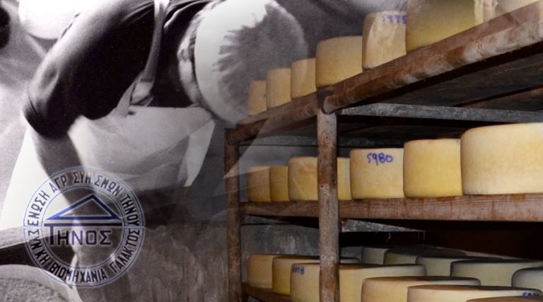 ph_tyrokomeio01 - ΑΓΡΟΤΙΚΟΣ ΣΥΝΕΤΑΙΡΙΣΜΟΣ ΤΗΝΟΥ
