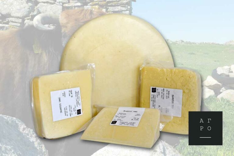 Home - ΑΓΡΟΤΙΚΟΣ ΣΥΝΕΤΑΙΡΙΣΜΟΣ ΤΗΝΟΥ